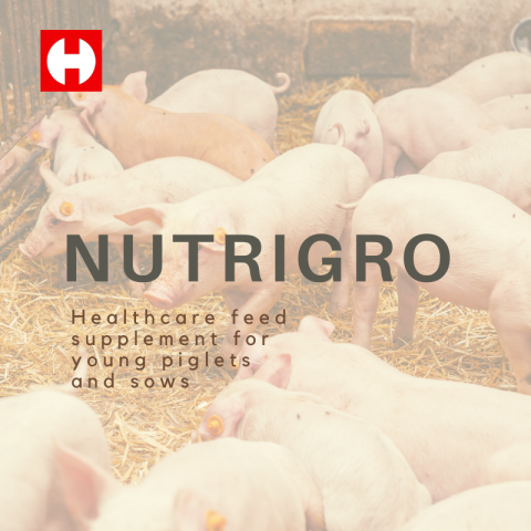 Nutrigro Natural Feed Supplement For Young Piglets - Halim Biotech